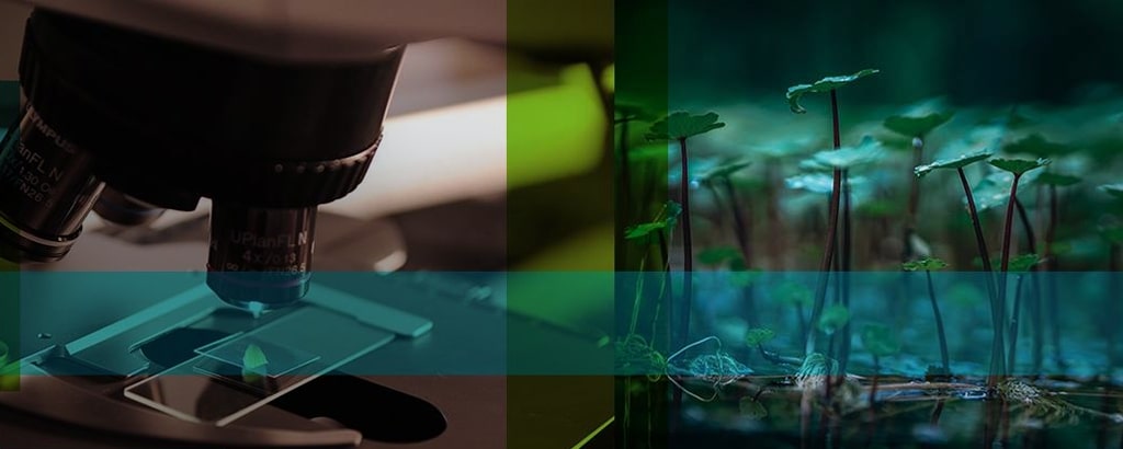 Our Focus - Xeraya Capital