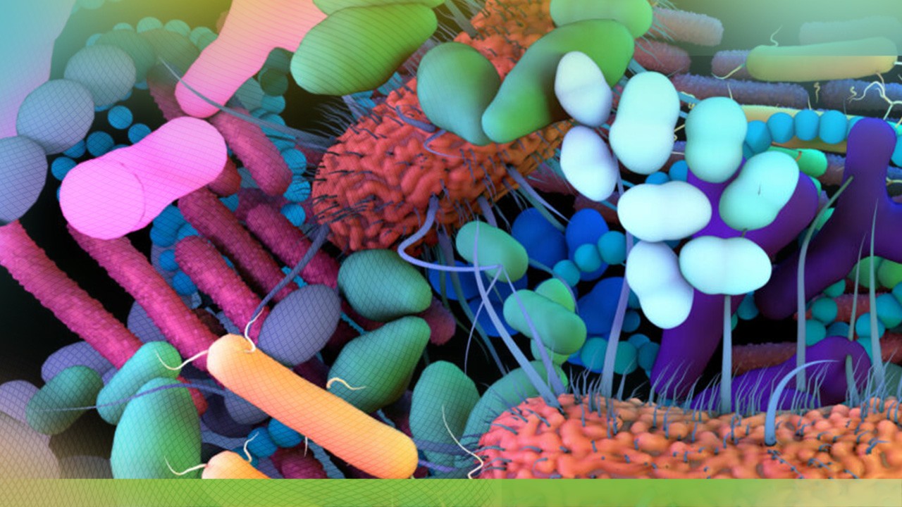 Microbiome in Precision Medicine & Healthy Lifestyle - Xeraya Capital