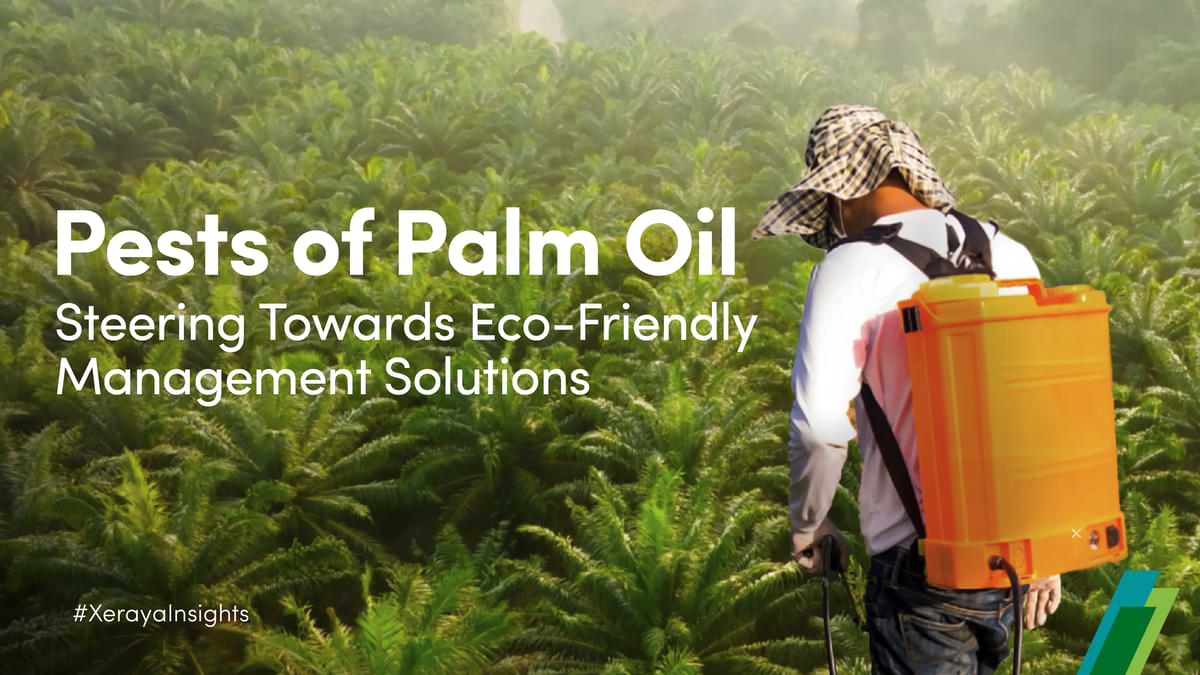 Pests of Palm Oil: Steering towards eco-friendly management solutions ...
