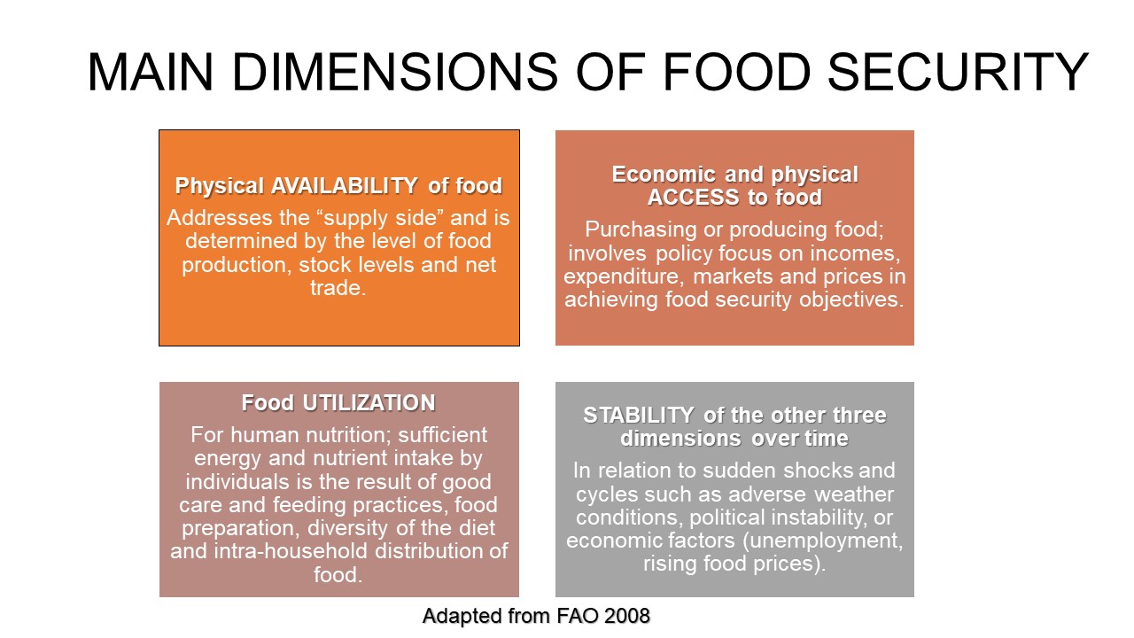 Food Security: The Path Towards Self-Sufficiency - Xeraya Capital